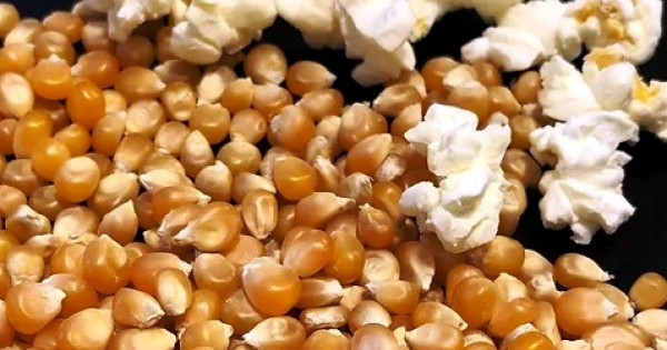 ΚΑΛΑΜΠΟΚΙ ΓΙΑ ΠΟΠ ΚΟΡΝ